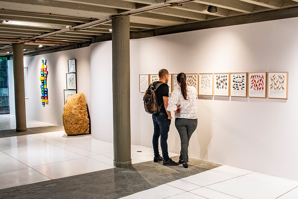 Ábrase al mundo de las galerías de arte en Medellín