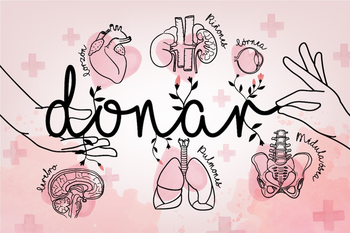La donación de órganos, un gesto de vida - Vivir en El Poblado
