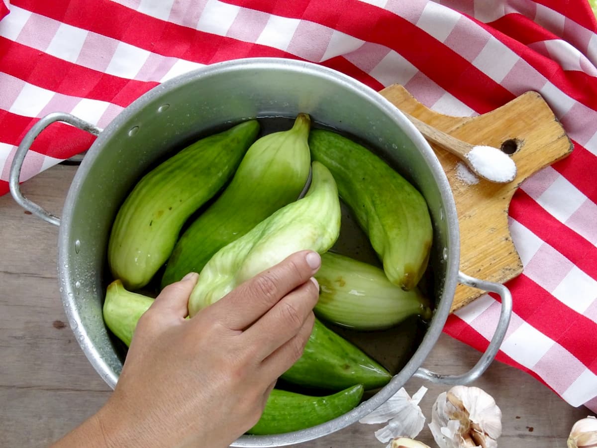 Pepinos rellenos, receta de Susana Rivera - Vivir en El Poblado