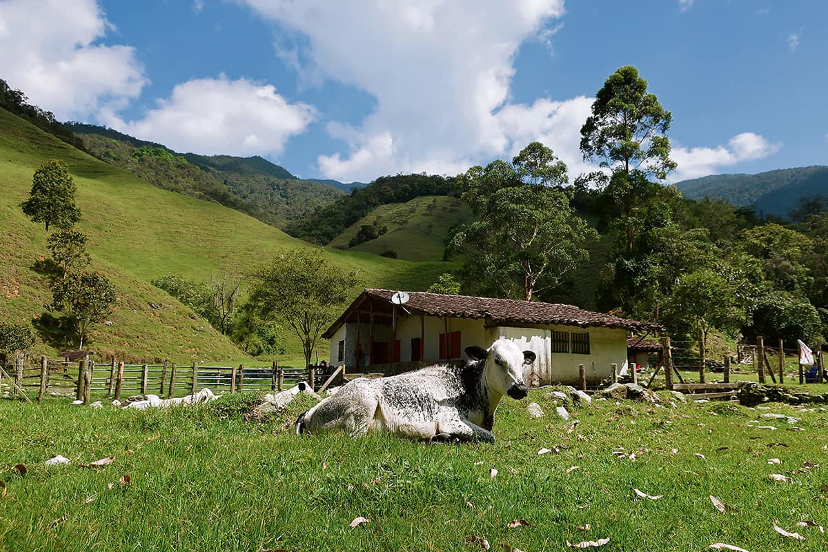Cuánto le debemos al campo - Vivir en El Poblado