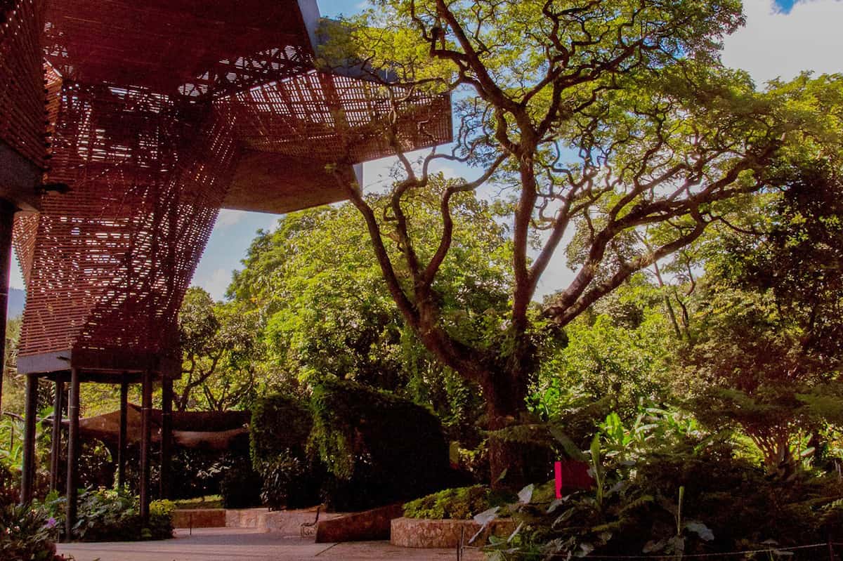 El Jardín Botánico de Medellín lanza un S.O.S - Vivir en El Poblado