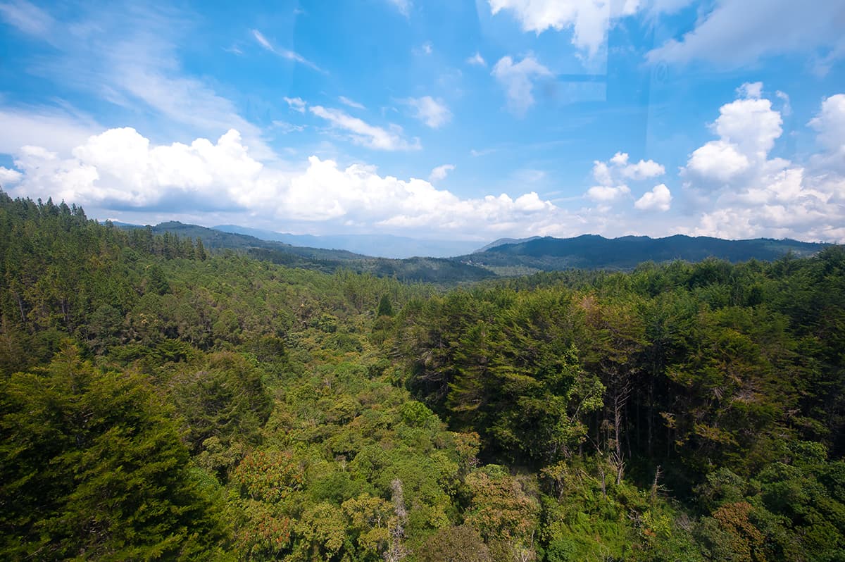 El Parque Arví, un corredor biológico que protege la biodiversidad en ...