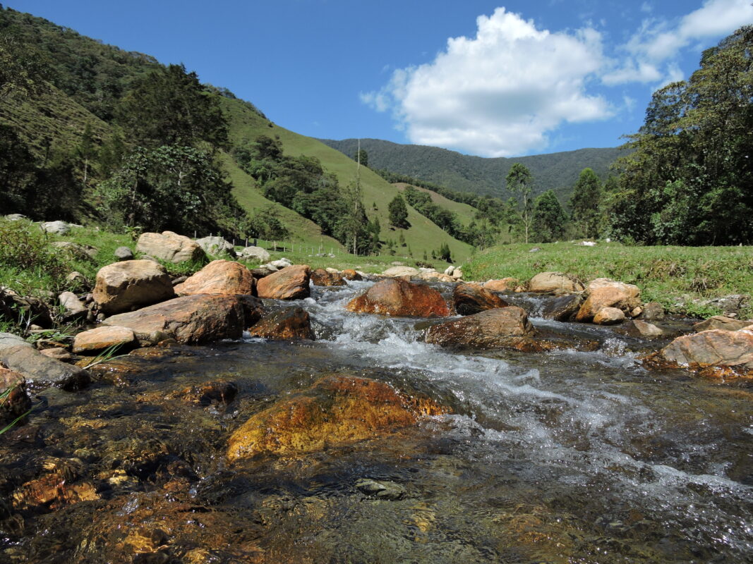 Proteger las reservas naturales durante los paseos de inicio de año