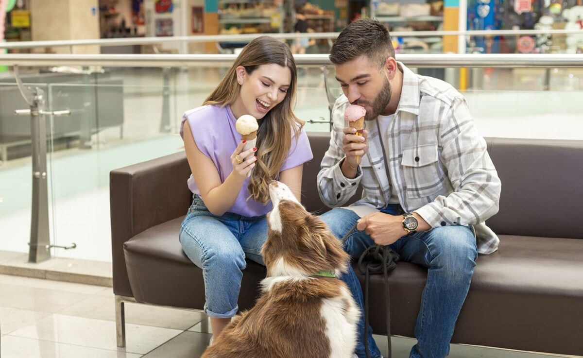 Mundo PetLover llega a Santafé Medellín