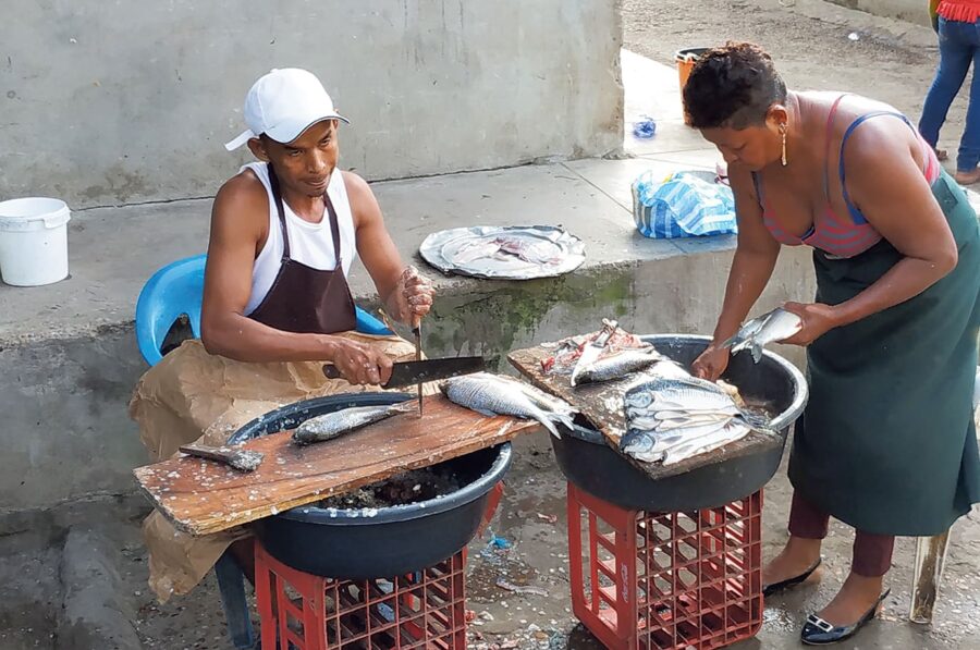 Pesca de agua dulce en Colombia