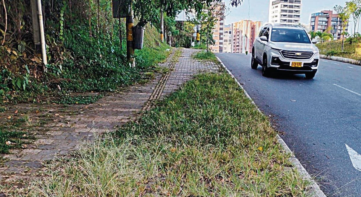 Crece maleza en andenes de El Poblado