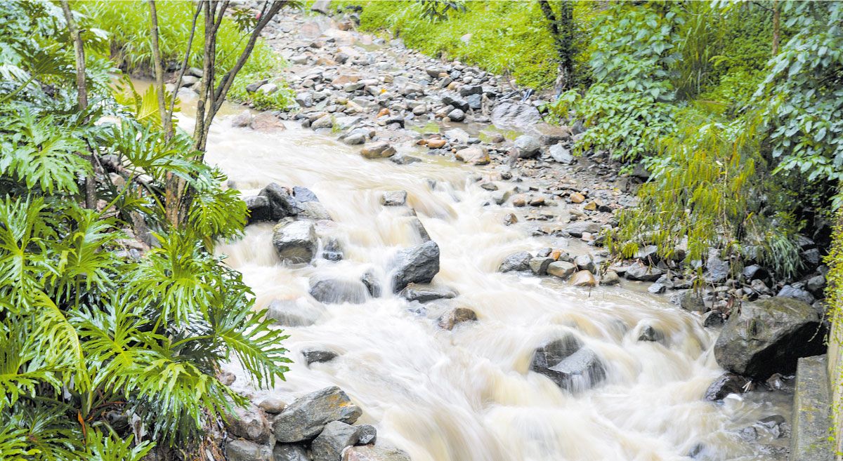 Plan Quebradas: revitalizando el Río Medellín - Vivir en El Poblado