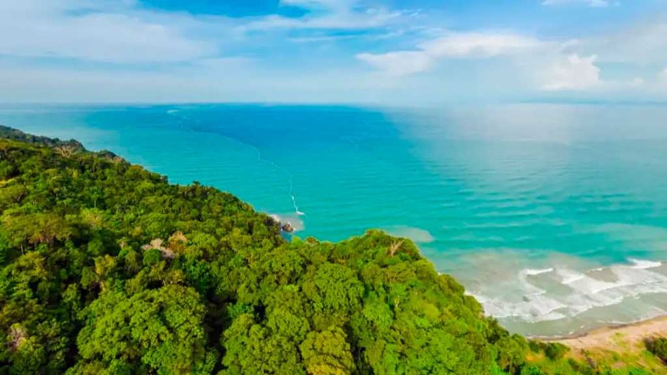 Unesco declaró el Darién Norte chocoano como reserva de biósfera ...
