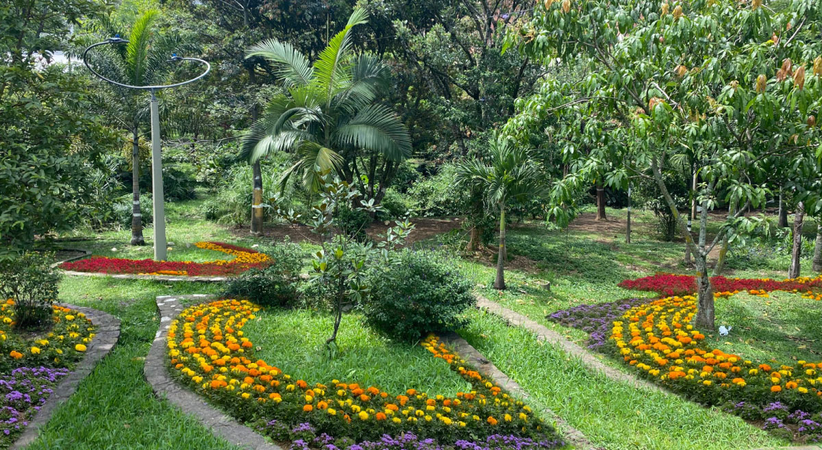 Otra forma de poblar nuestra comuna 14 - Vivir en El Poblado