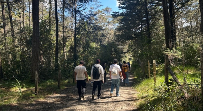 El Parque Arví tiene novedades, ¿cuáles? - Vivir en El Poblado