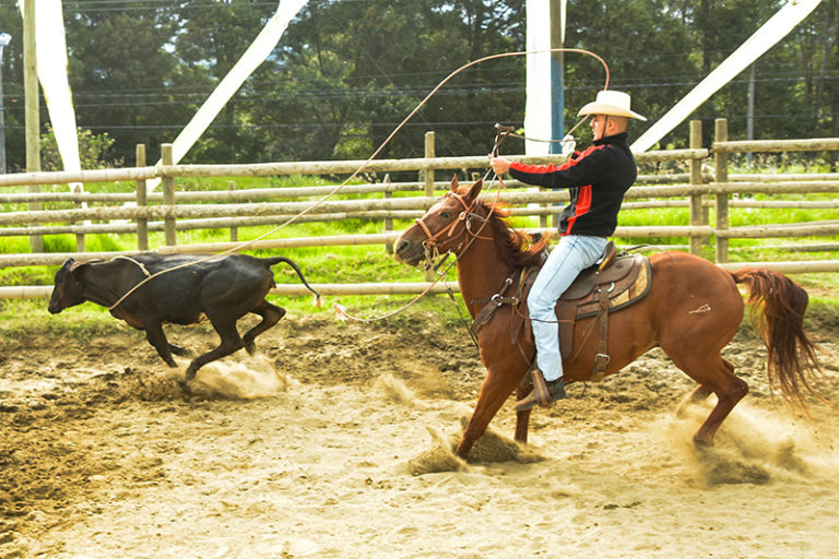 Fin de semana de vaquería en Llanogrande - Vivir en El Poblado