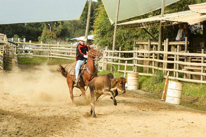 Fin de semana de vaquería en Llanogrande - Vivir en El Poblado